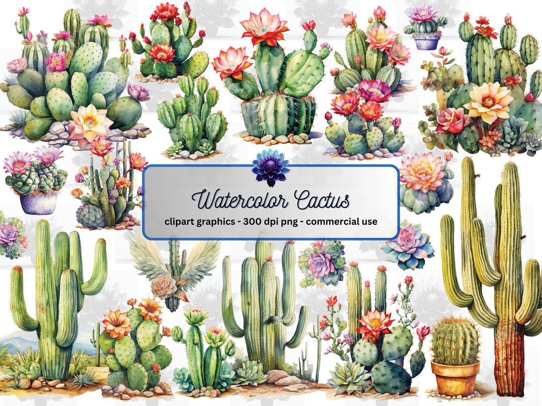 Watercolor Cactus Clipart - Desert Cacti Illustrations, PNG Format ...