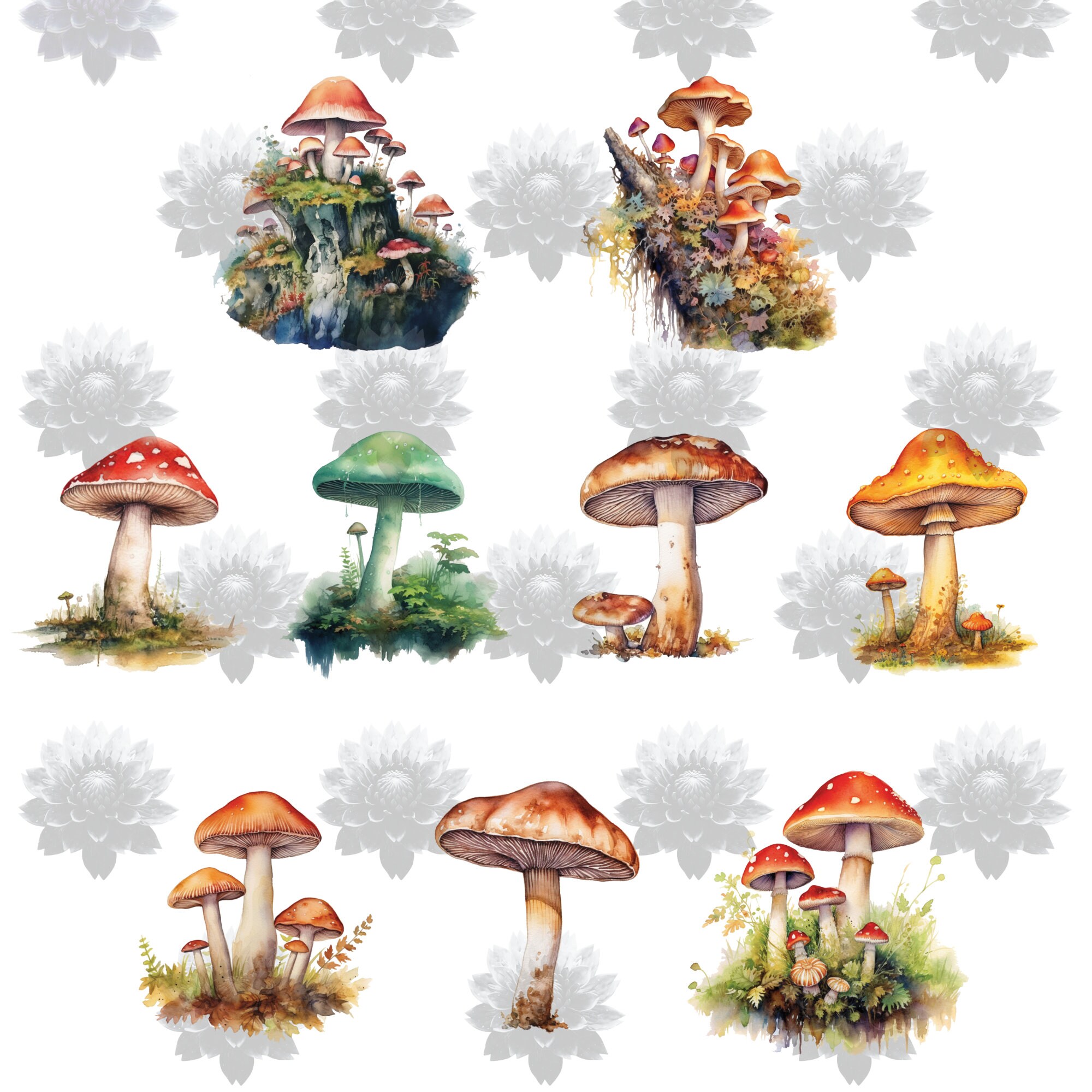 Watercolor Mushrooms Clipart Cute Forest Nature Toadstool Clipart PNG ...