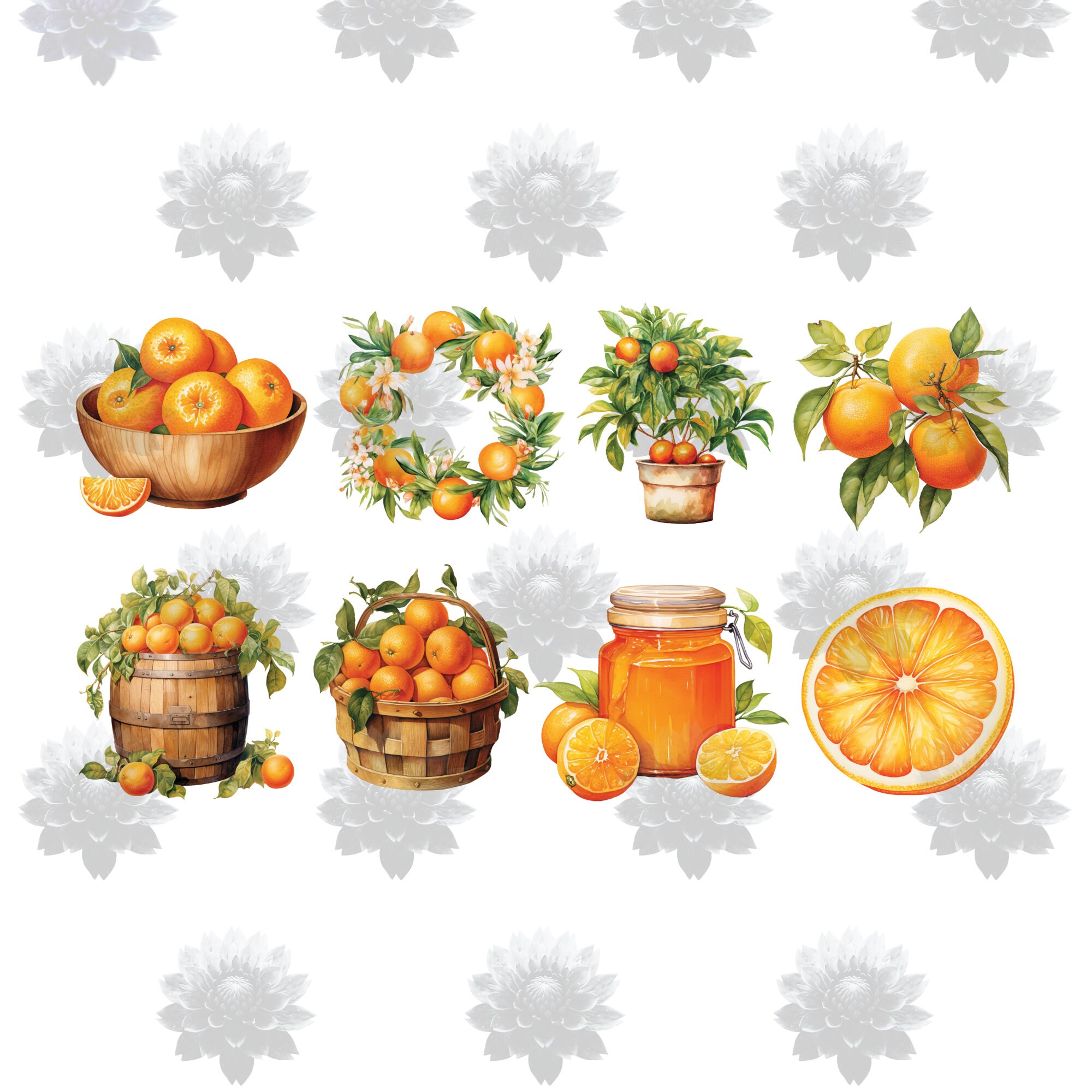 Watercolor Oranges Clipart - Citrus, PNG Graphics, Instant Download for ...