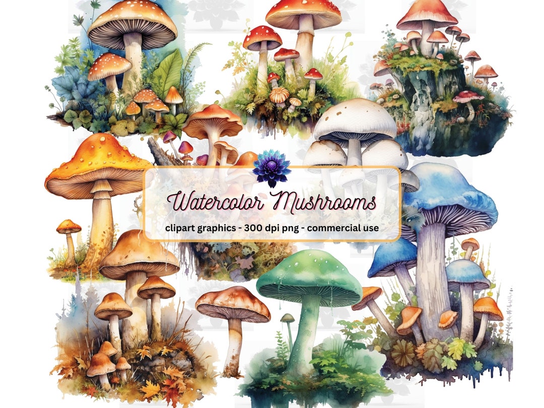Watercolor Mushrooms Clipart - Cute Forest Nature Toadstool Clipart PNG ...