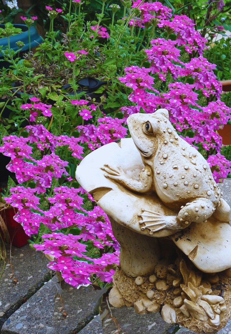 Frogs & Flora: 5 Exquisite Floral Frog Jpgs for Etsy Delights in the US ...