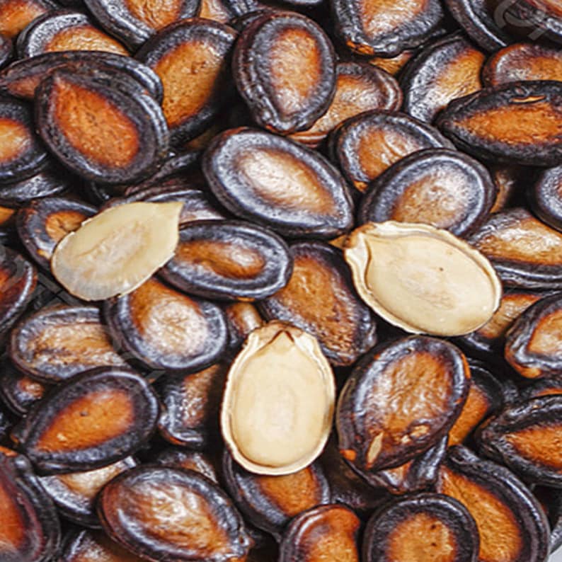 PLUM FLAVORED Watermelon Seeds Roasted: Bulk Value Bag, on the Go Snack ...