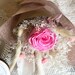 Pink Preserved Rose Petite Boho Bouquet Pink & Cream Dried Flower ...