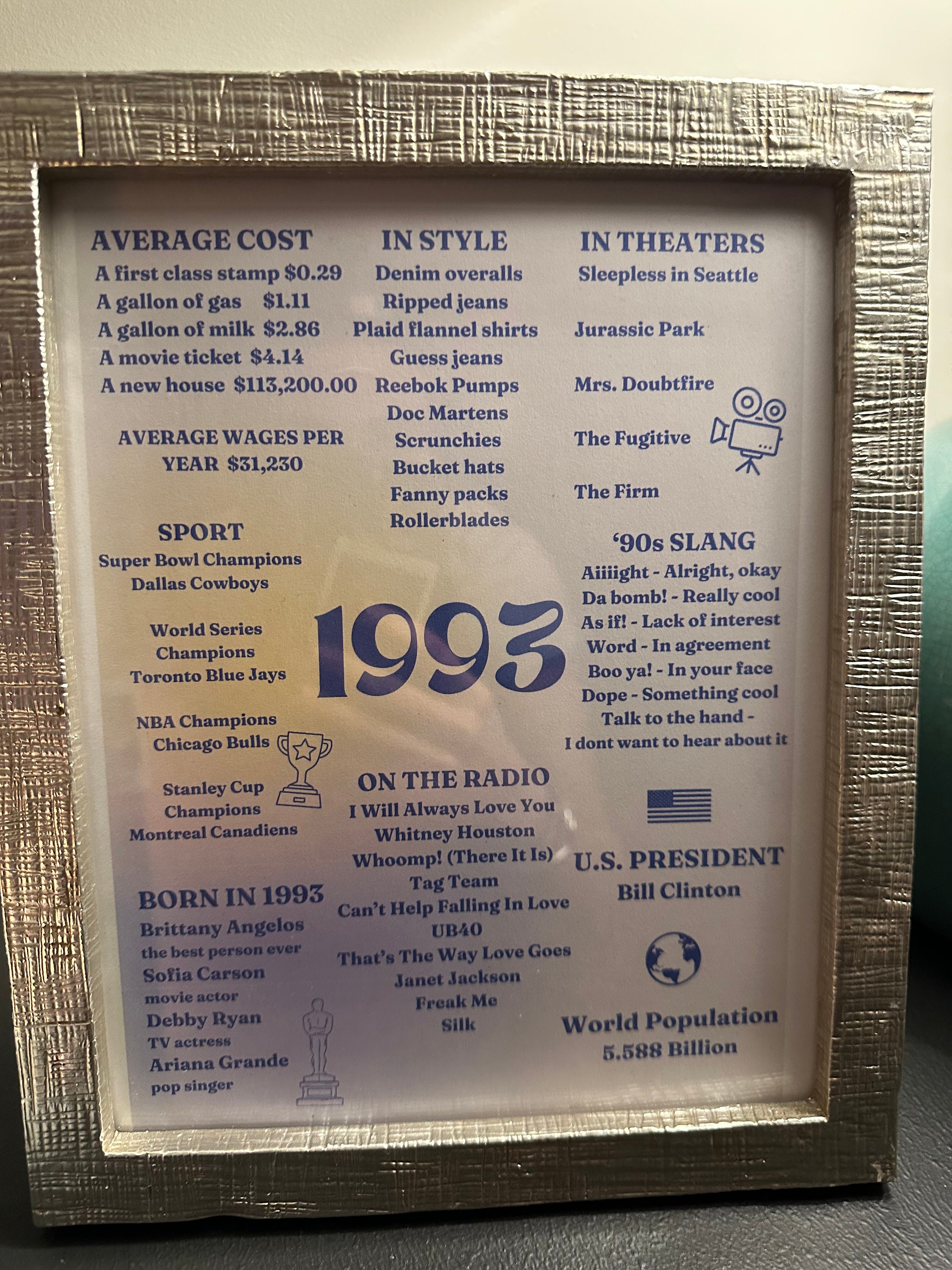 1993 Fun Facts Sign - Etsy