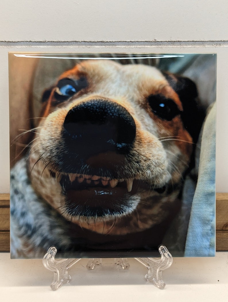 Personalized Custom Ceramic Tile Coasters - Photo Coasters - Monogram ...