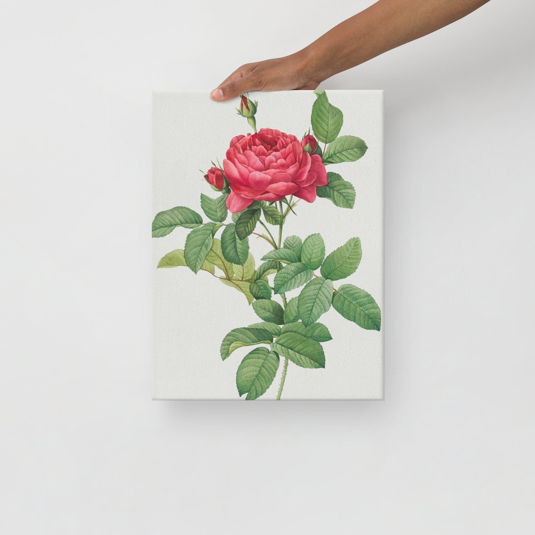Red Rose (rosa Gallica) Frameless Canvas Art, Romantic Home Decor, Gift ...