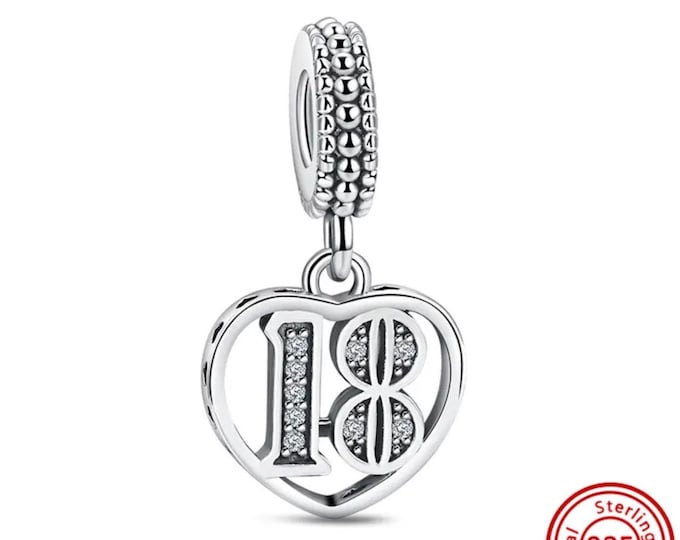 Special 18th Birthday Necklace Featuring 18 Sterling Silver Links on ...