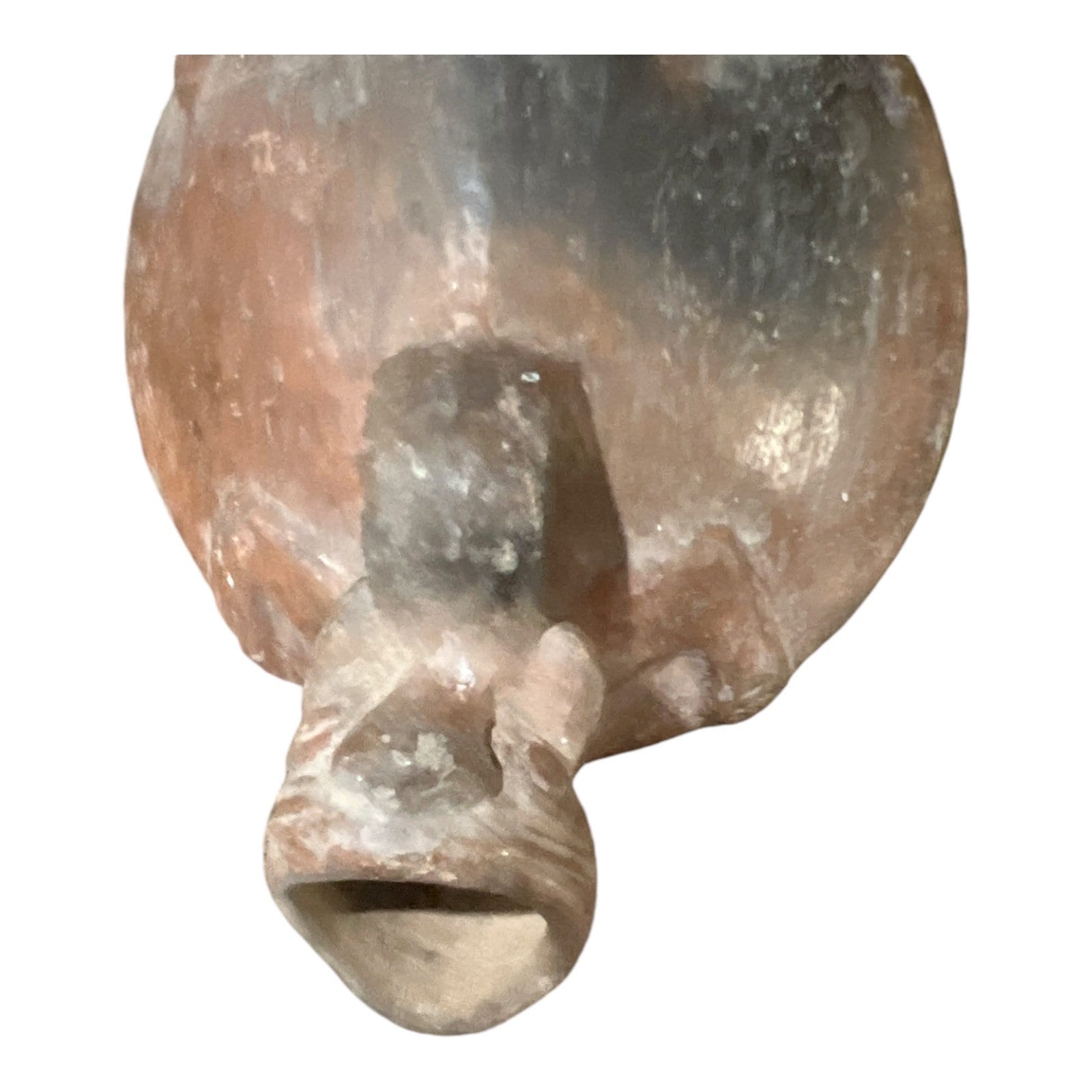 Prehistoric Colima Animal Effigy Vessel - Etsy