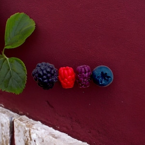 Mixed Berries Wax Embeds, Red Raspberries, Raspberry, Blueberry ...