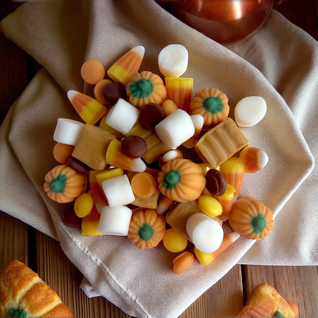 Harvest Confections Wax Embeds, Candle Embeds, Fall, Autumn, Faux Food ...