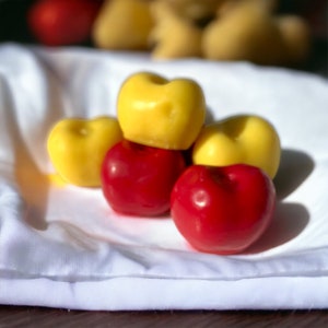 Bing Cherries Wax Embeds, Wax Cherries, Cherry Embeds, Fake Fruit, Wax ...