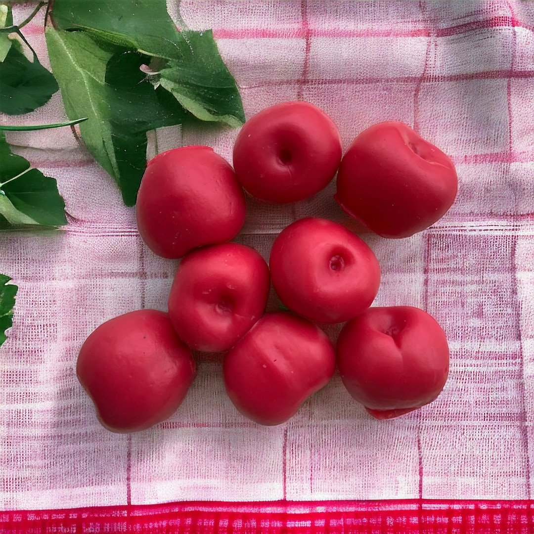 Cherries Wax Embeds, Regular Cherry Embeds, Wax Fruit, Fruit Embeds ...