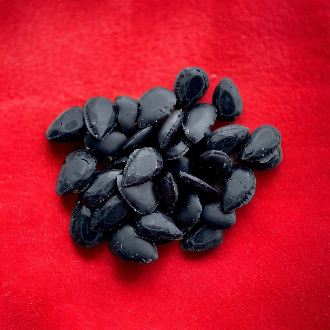 Watermelon Seeds Wax Embeds, Fake Seeds, Wax Seeds, Seed Melts, Seed ...