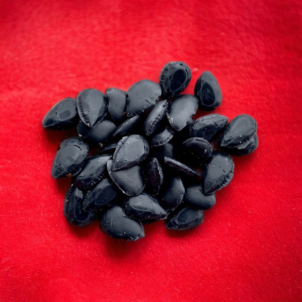 Watermelon Candle - Etsy