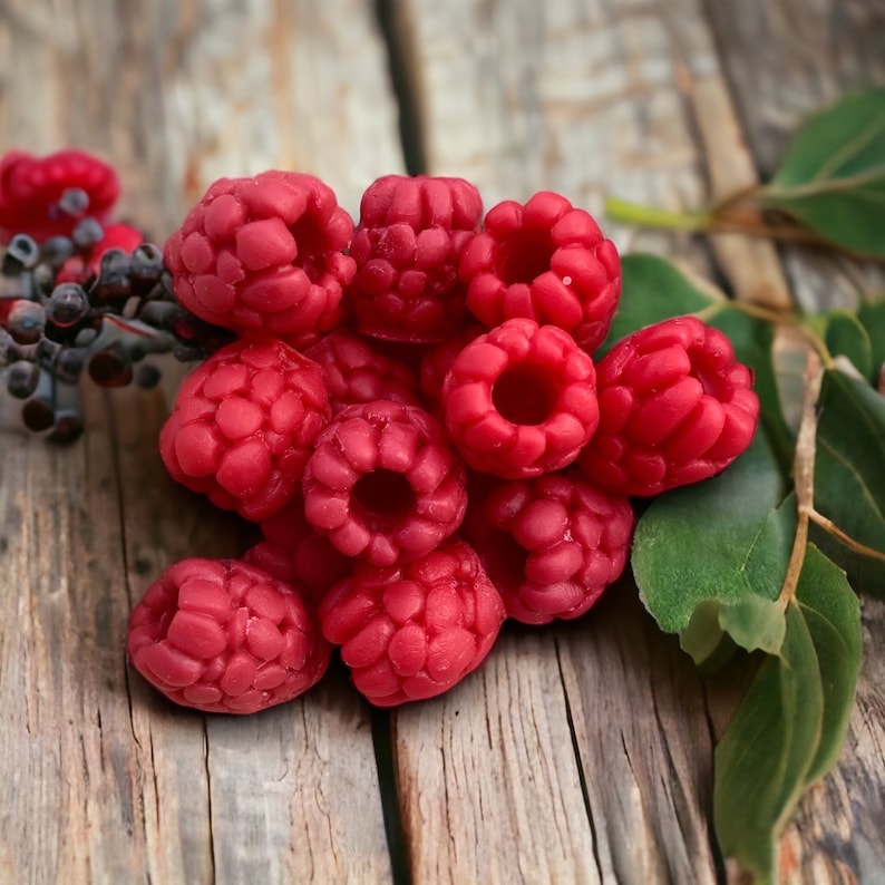 Mixed Berries Wax Embeds, Red Raspberries, Raspberry, Blueberry ...