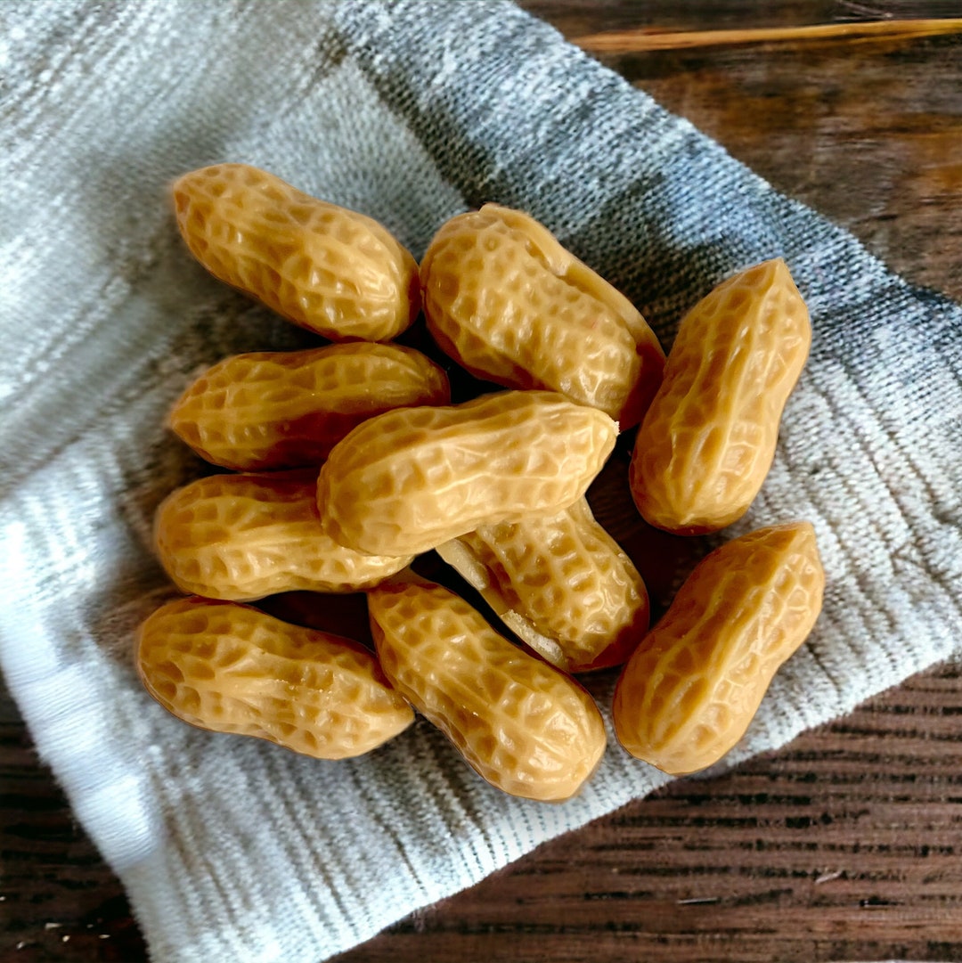 Shelled Peanuts Wax Embeds, Wax Peanuts, Peanut Embeds, Faux Food, Fake ...