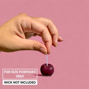 Bing Cherries Wax Embeds, Wax Cherries, Cherry Embeds, Fake Fruit, Wax ...