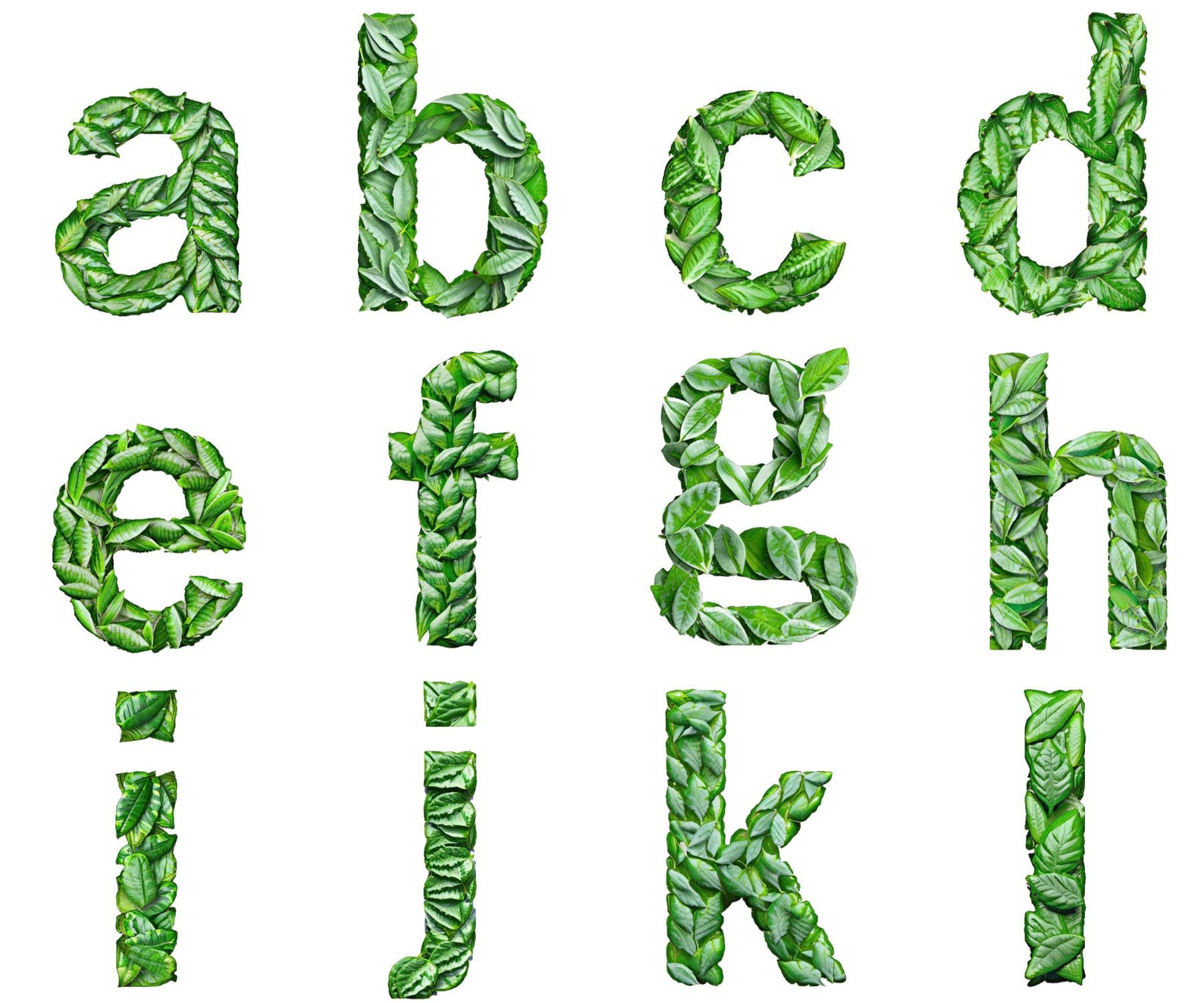 Leaf Pattern Alphabet Letters and Numbers - Etsy