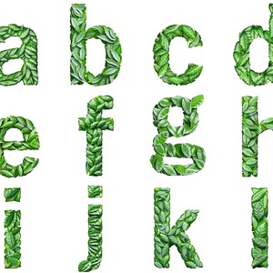 Leaf Pattern Alphabet Letters and Numbers - Etsy