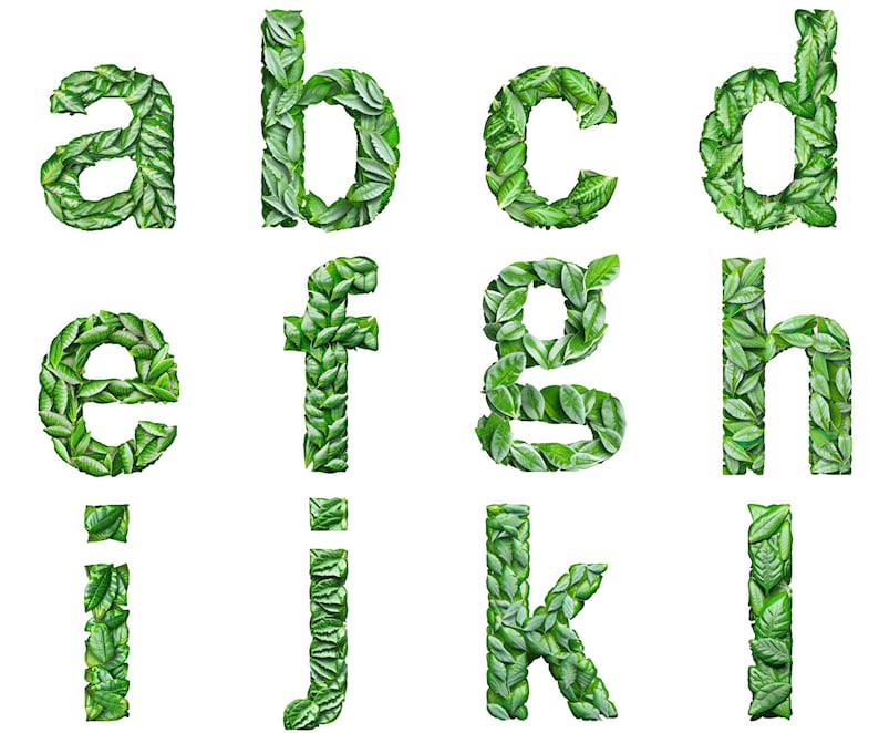 Leaf Pattern Alphabet Letters and Numbers - Etsy