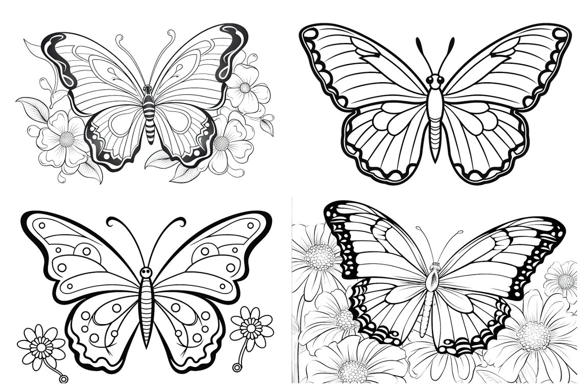 Butterfly Colouring Pages - Set of 24 - Etsy