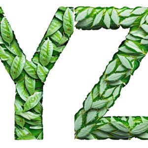 Leaf Pattern Alphabet Letters and Numbers - Etsy