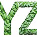 Leaf Pattern Alphabet Letters and Numbers - Etsy