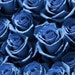 Abstract Blue Roses - 11 Patterns Digital Paper (seamless) - Etsy