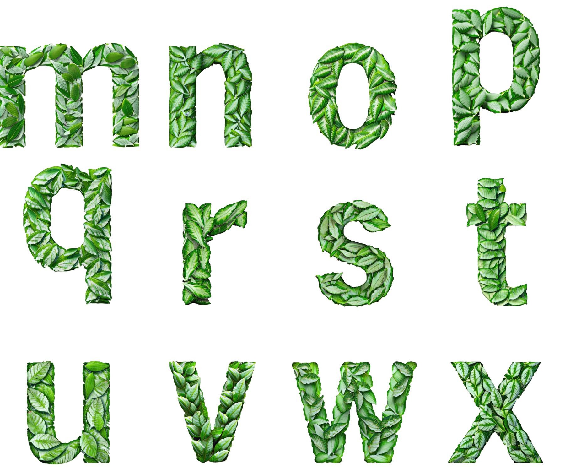 Leaf Pattern Alphabet Letters and Numbers - Etsy