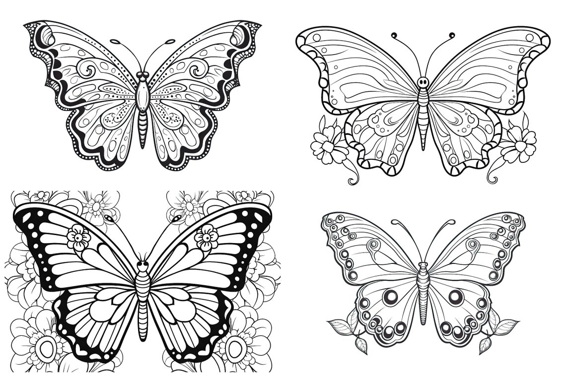 Butterfly Colouring Pages Set of 24 - Etsy