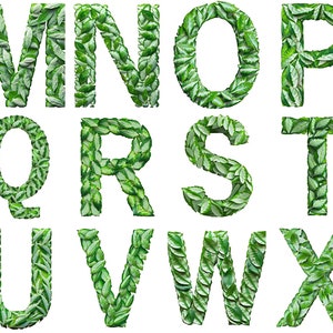 Leaf Pattern Alphabet Letters and Numbers - Etsy