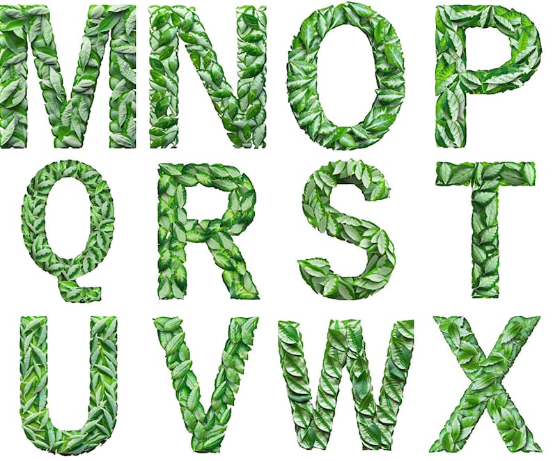 Leaf Pattern Alphabet Letters and Numbers - Etsy