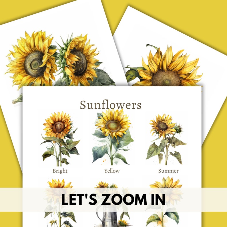 Sunflowers Printable Wall Art | Sunflower Posters | Kansas Sunflowers ...