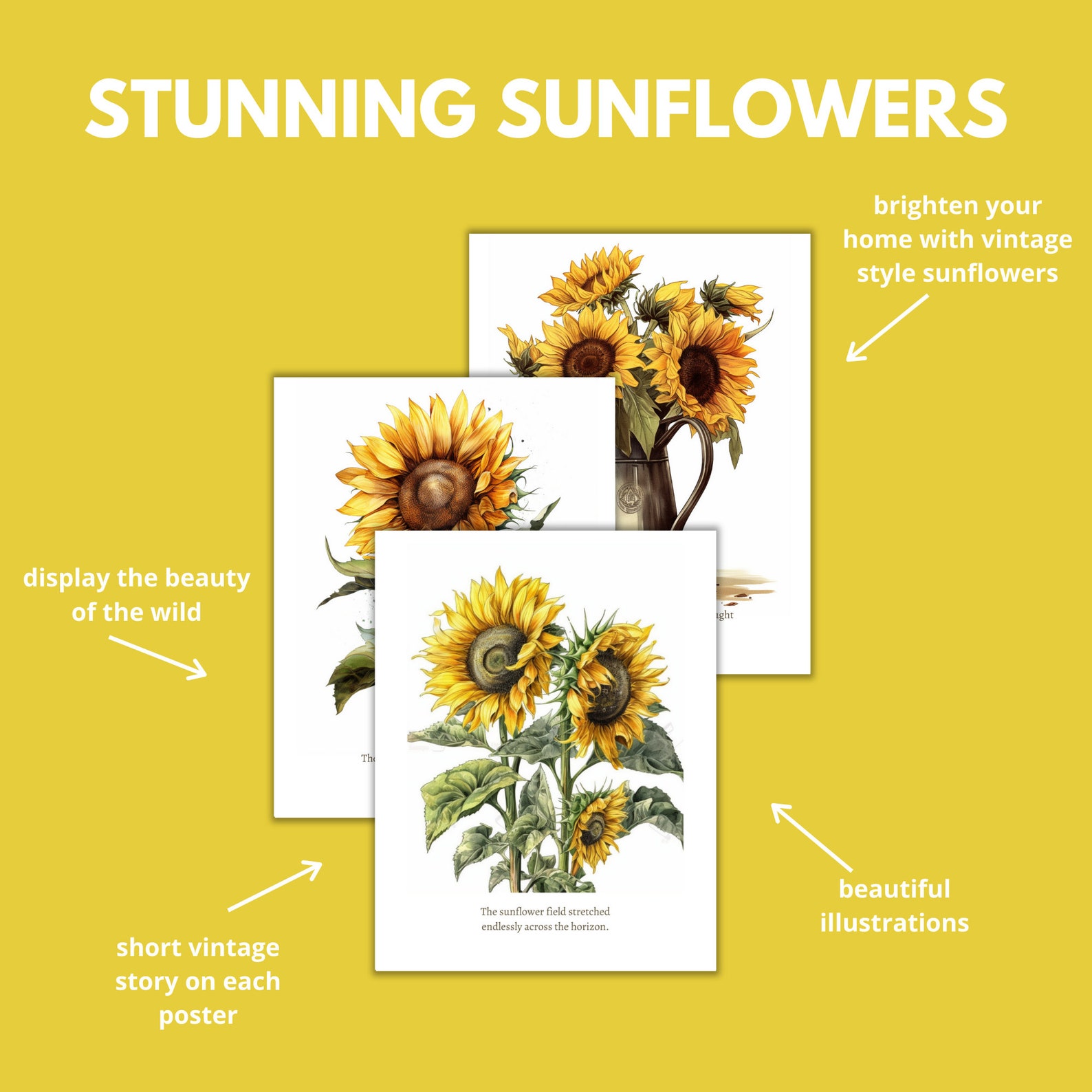 Sunflowers Printable Wall Art | Sunflower Posters | Kansas Sunflowers ...