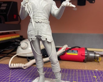 Goosetarion Goose Astarion Baldur's Gate 3 Model - Etsy