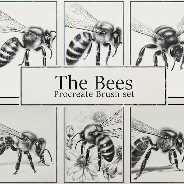 Insect Drawing - Etsy