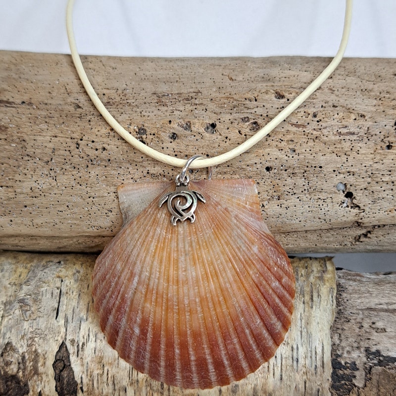 Real Seashells - Etsy