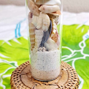 Beach in a Jar, Jar of Pensacola Beach Florida Sand Minis Shells, Coral ...