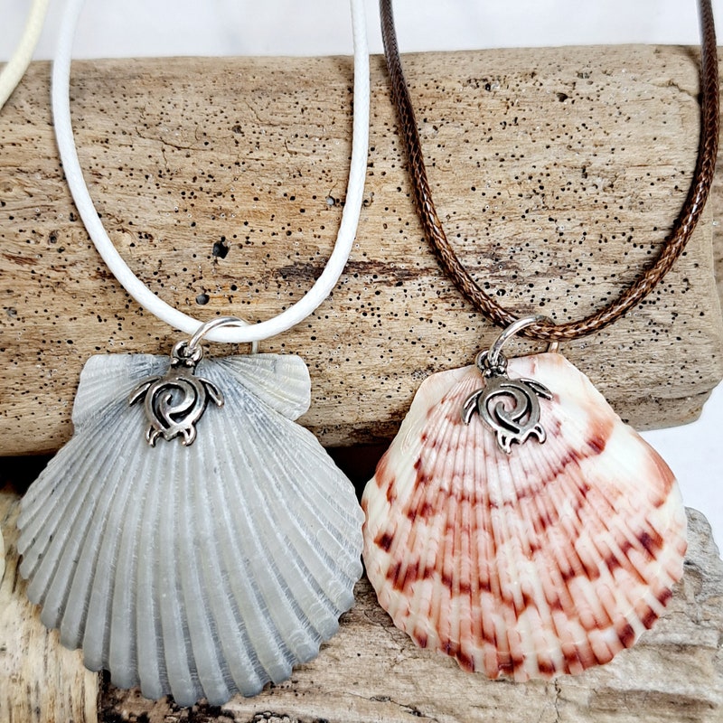 Real Seashell Necklace - Etsy