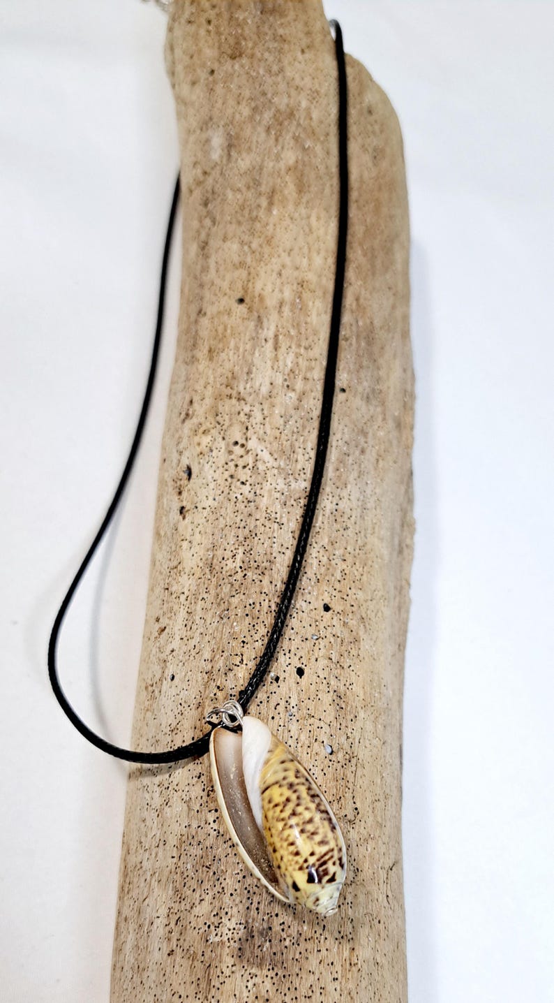 Real Olive Shell Necklace, Ocean Theme Beach Jewelry, Adjustable Beachy ...