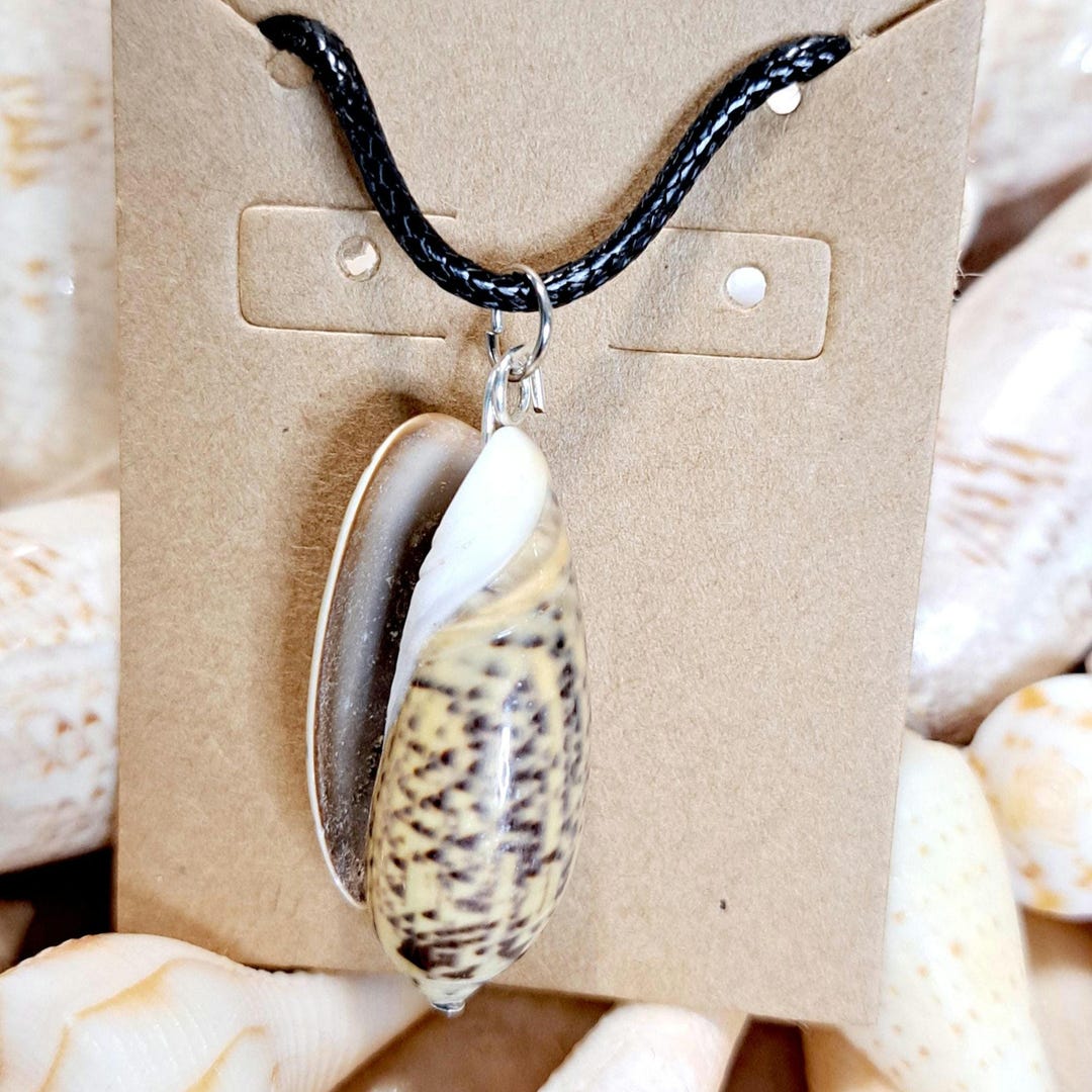 Real Olive Shell Necklace, Ocean Theme Beach Jewelry, Adjustable Beachy ...