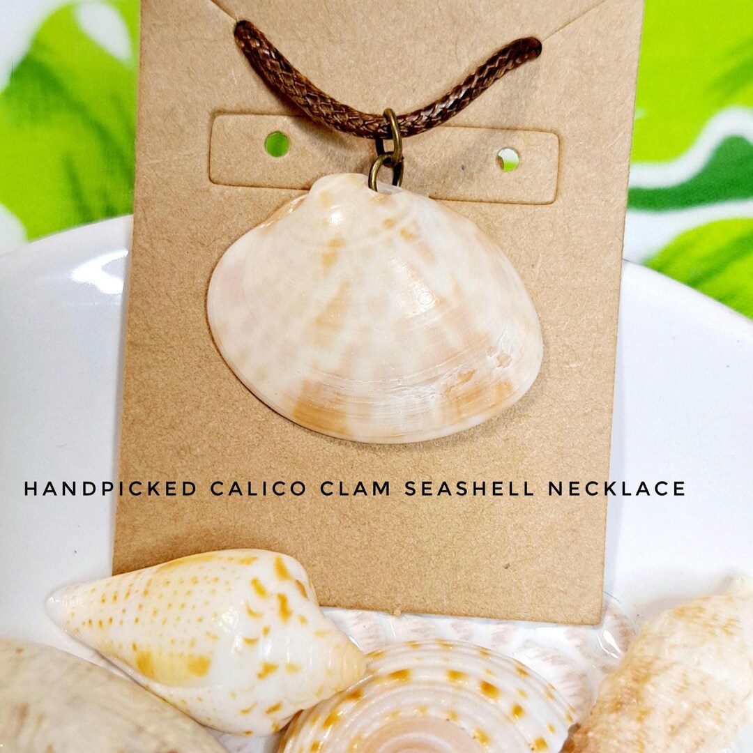 Real Calico Clam Seashell Necklace: Adjustable Beach Jewelry, Beach ...