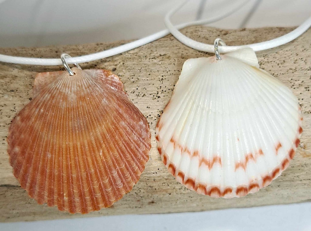 Real Scallop Seashell Necklace Adjustable Cord Beachy Gift, Beach ...