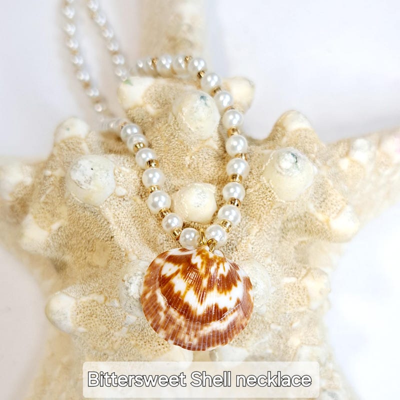 Real Seashells - Etsy