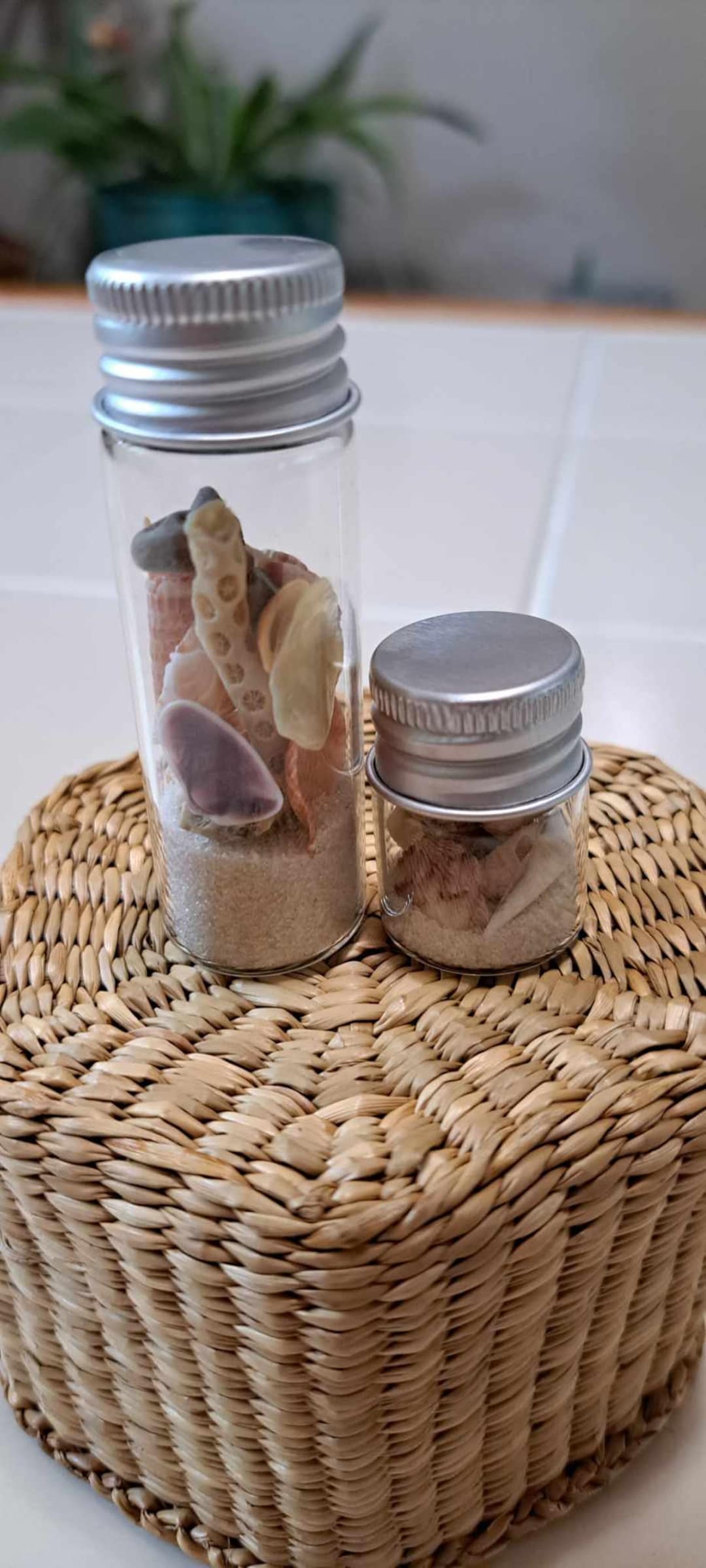 Beach in a Jar, Jar of Pensacola Beach Florida Sand Shells and Coral ...