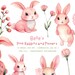 Pink Rabbit - Flower Watercolor - Clipart Set - Illustrations - Cute ...