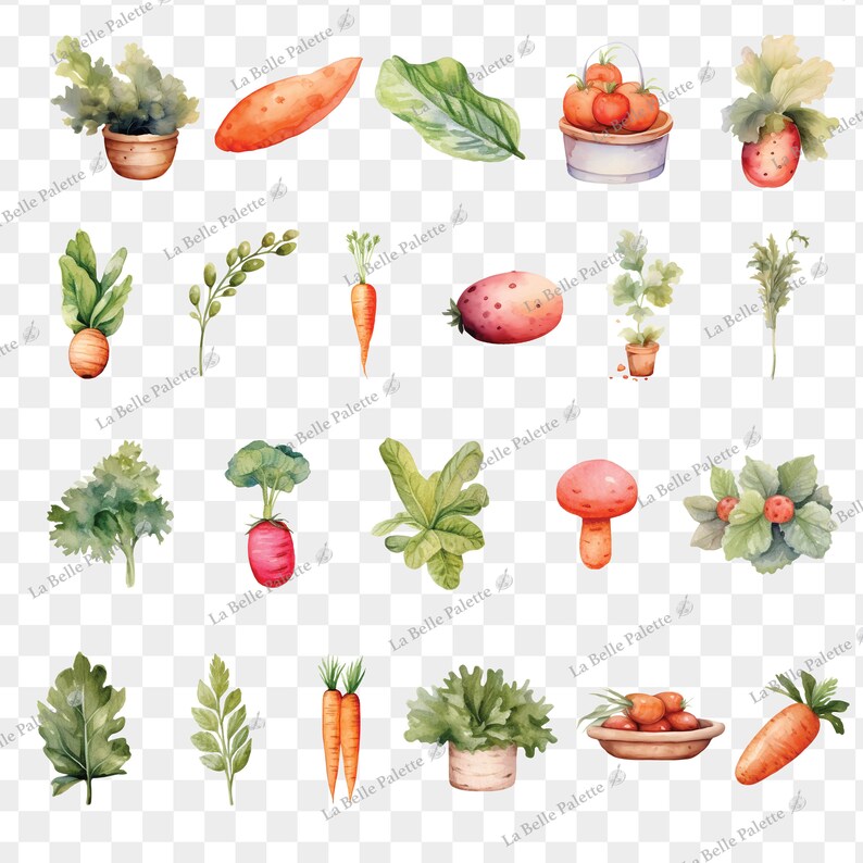 Watercolor Garden Vegetables Clipart Set Summer Veggies - Etsy