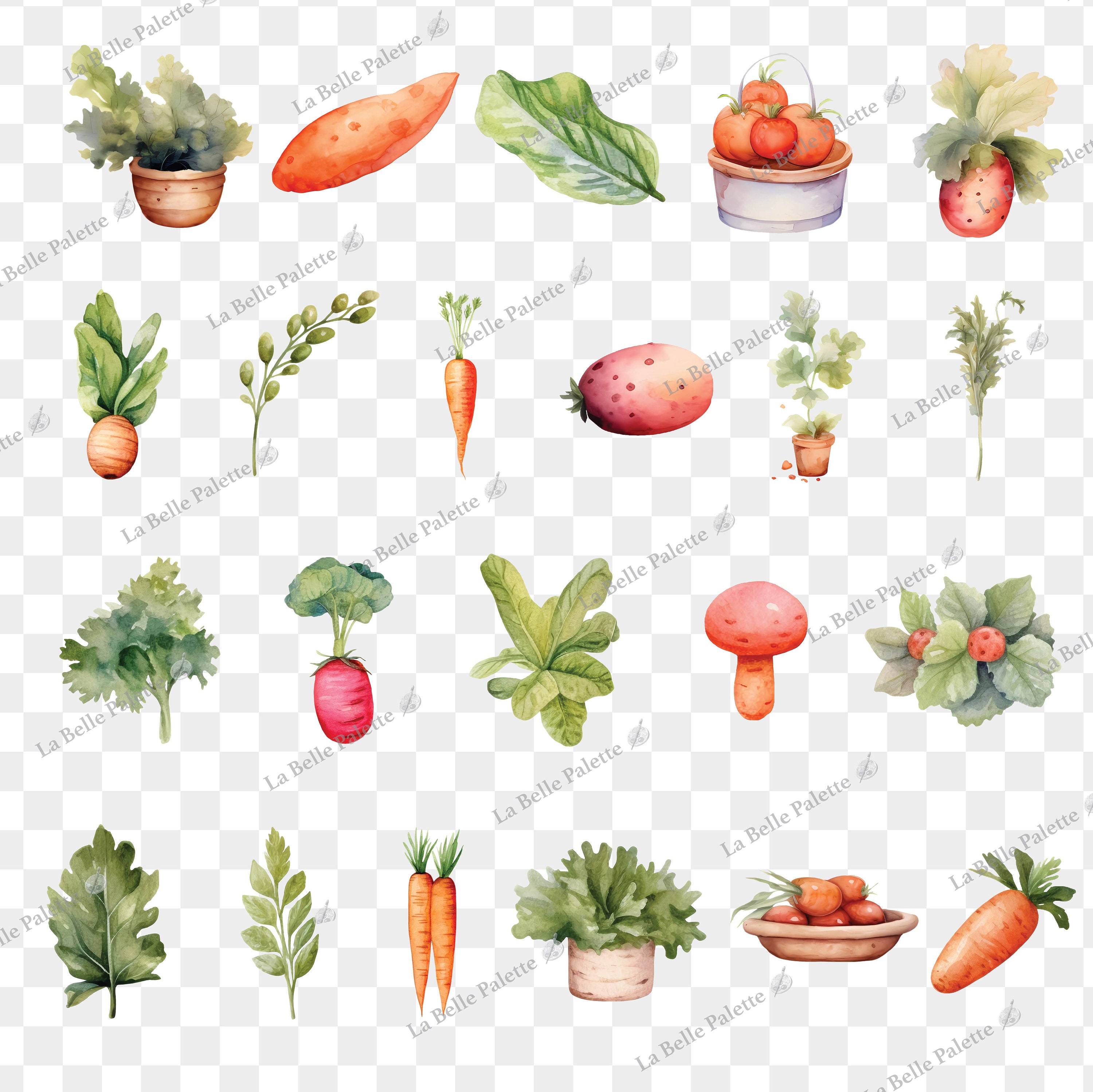 Watercolor Garden Vegetables - Clipart Set - Summer Veggies - Carrots ...