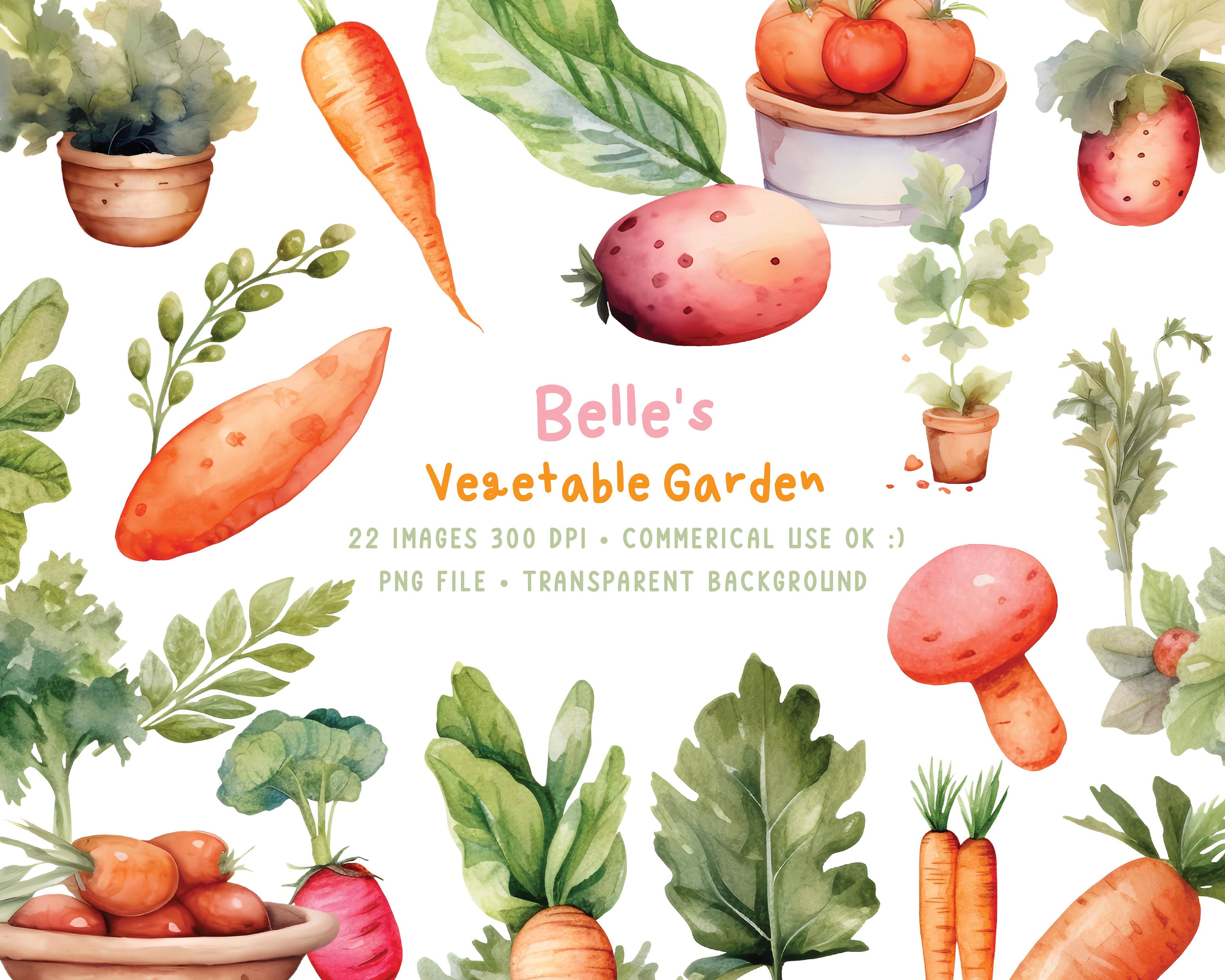 Watercolor Garden Vegetables - Clipart Set - Summer Veggies - Carrots ...