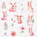 Pink Rabbit - Flower Watercolor - Clipart Set - Illustrations - Cute ...